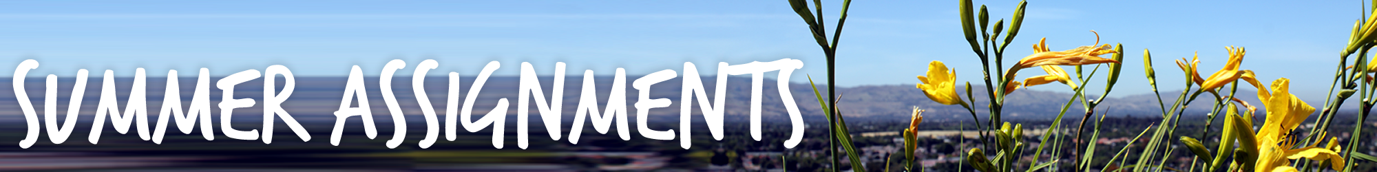 Topic: Summer Assignments | VCHS Summer Assignments | Learn@VCS